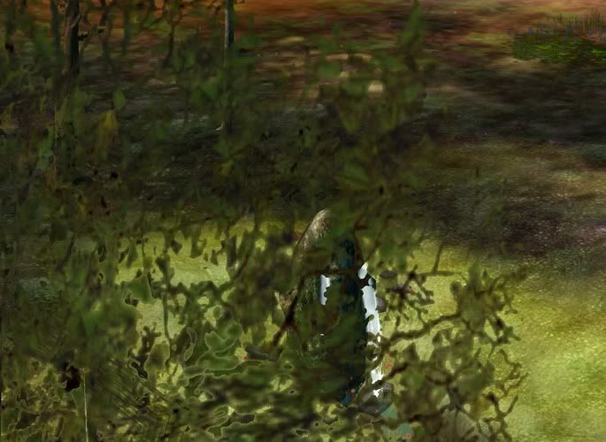 the idol | The Endless Forest